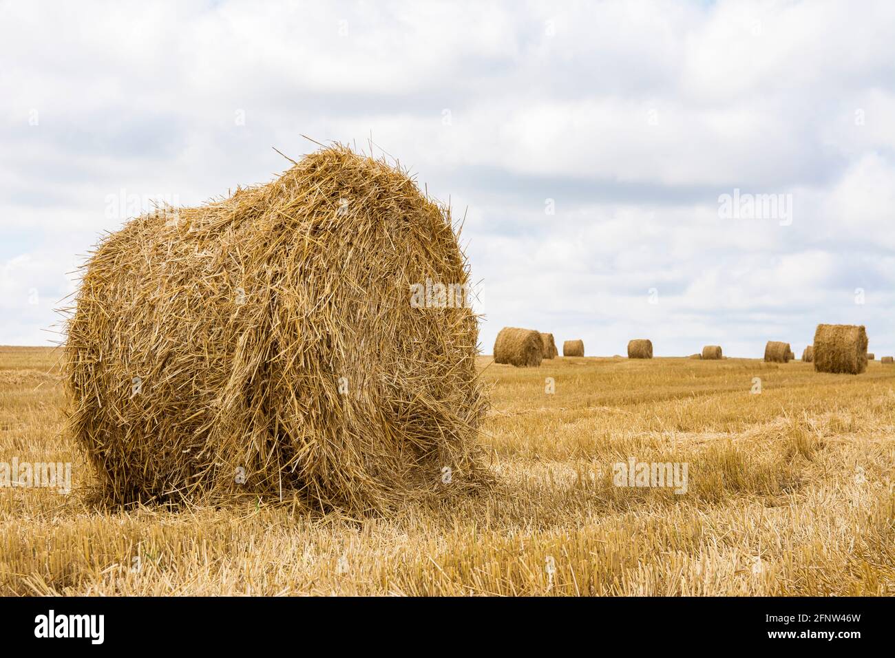 Grass straw field hi-res stock photography and images - Alamy