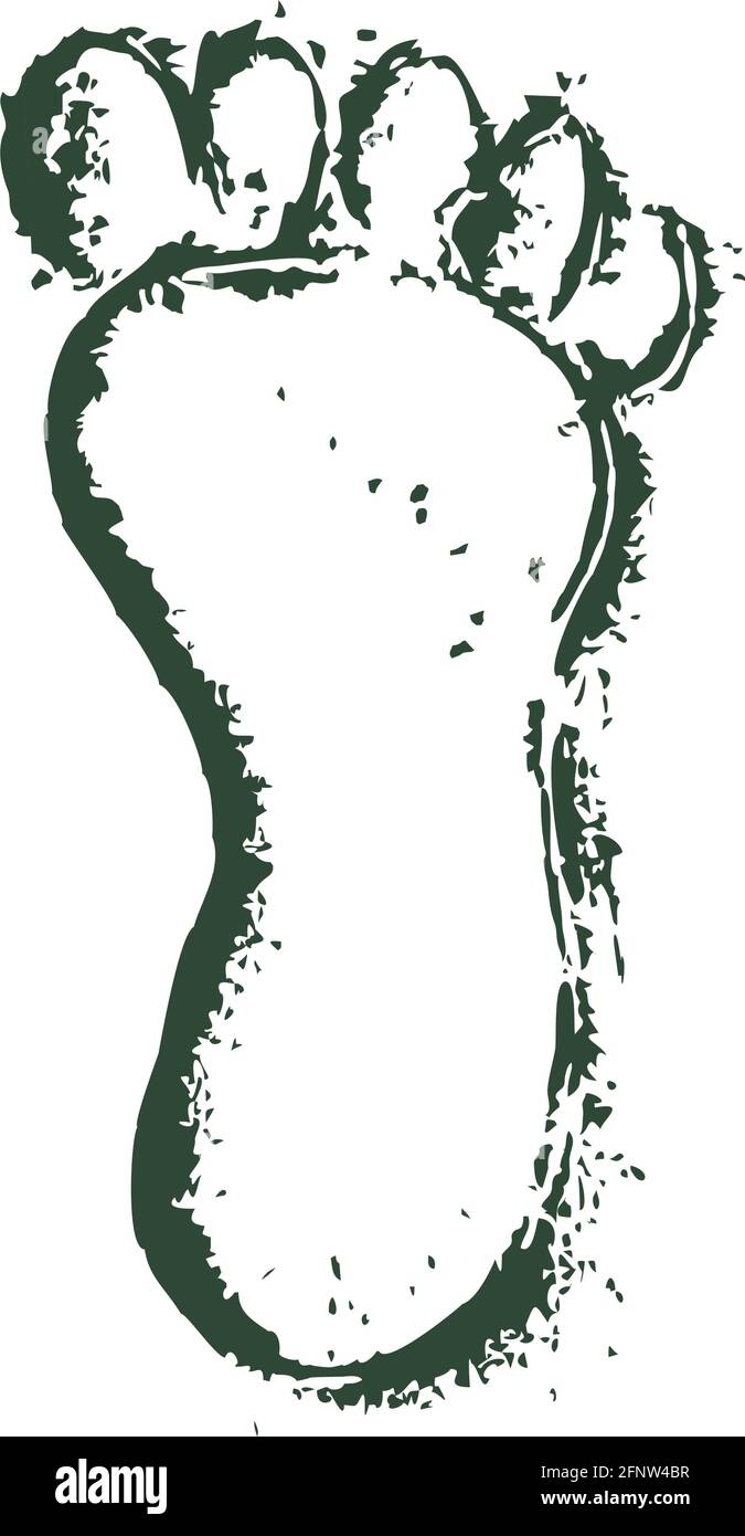 foot print vector Stock Vector Image & Art - Alamy