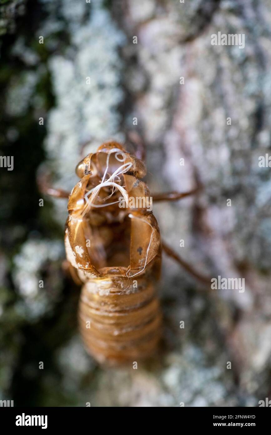 Cast off hi-res stock photography and images - Alamy