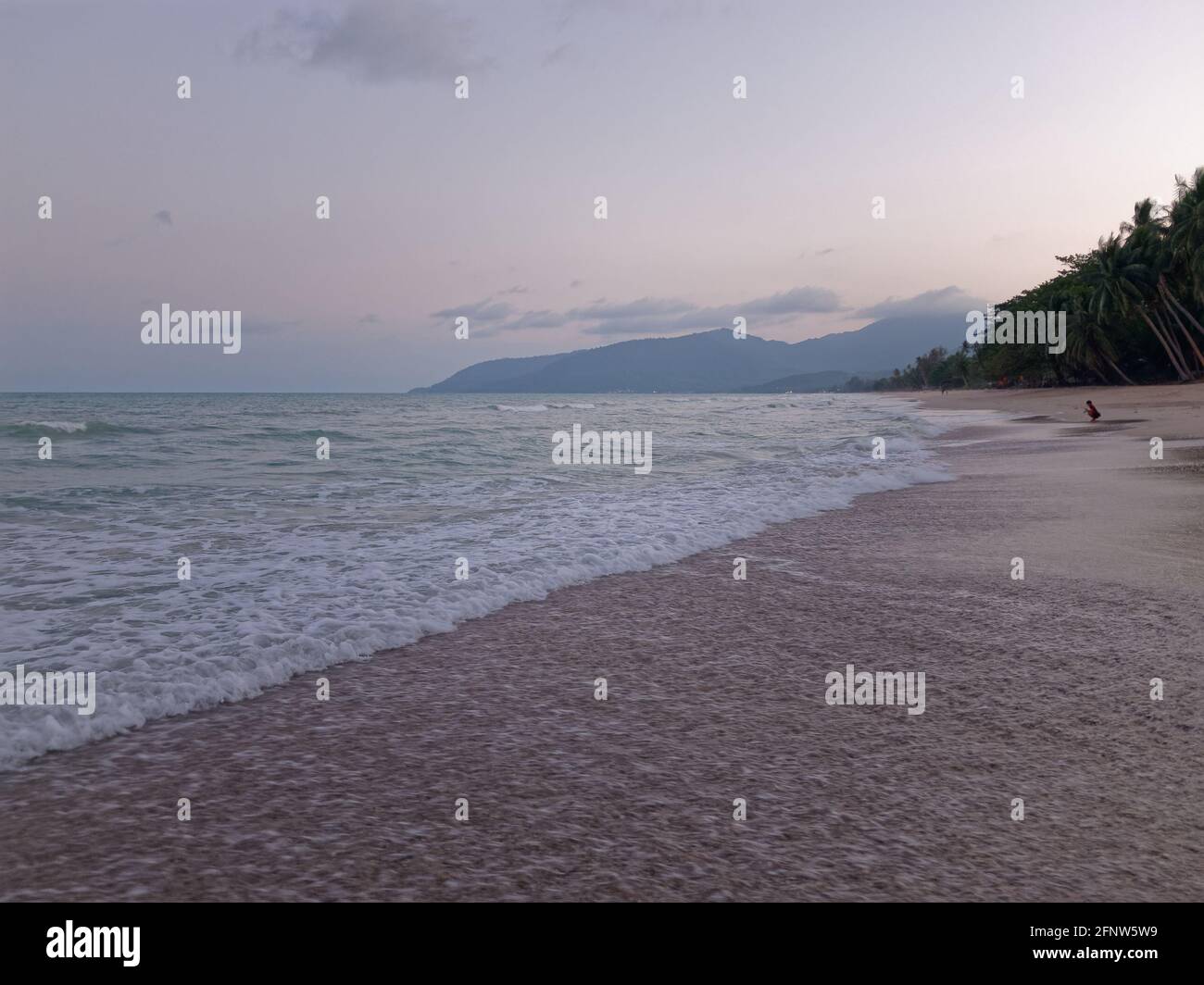 Calmful ocean beach dusk with deep blue sky and breezing waves Stock ...
