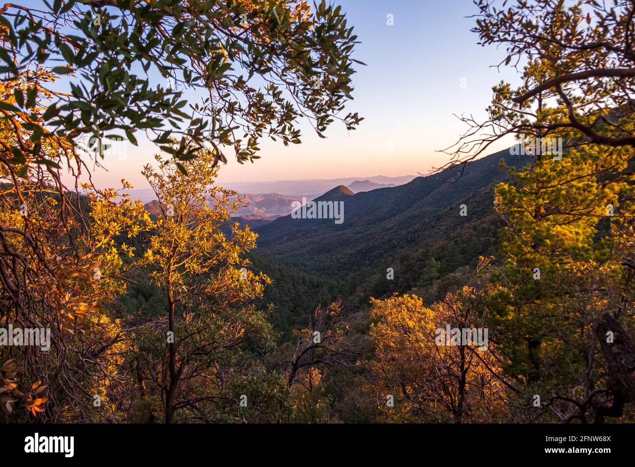 Mount Hopkins view from the Super Trail on Mount Wrightson, Arizona ...