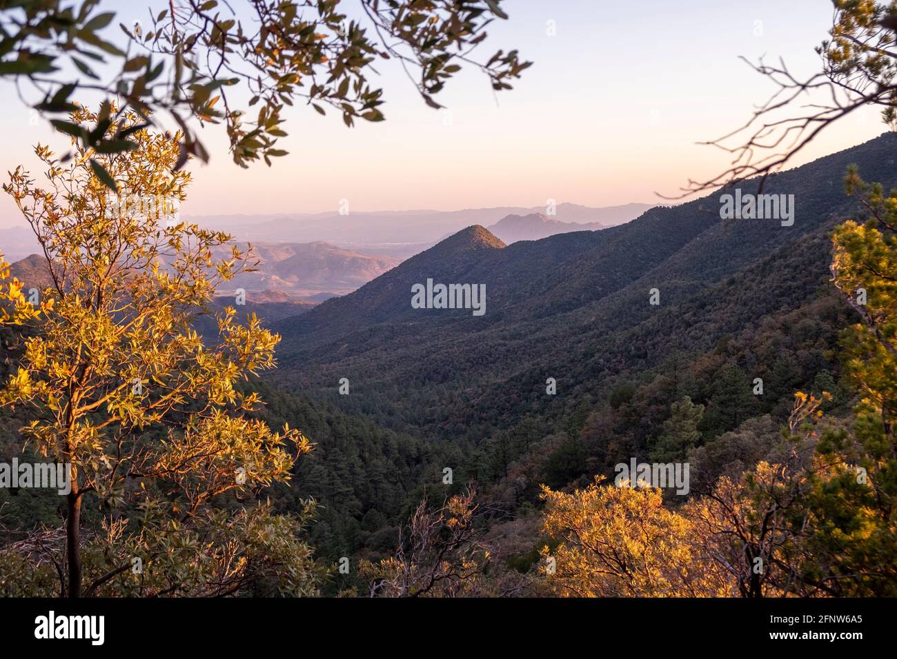 Mount Hopkins view from the Super Trail on Mount Wrightson, Arizona ...