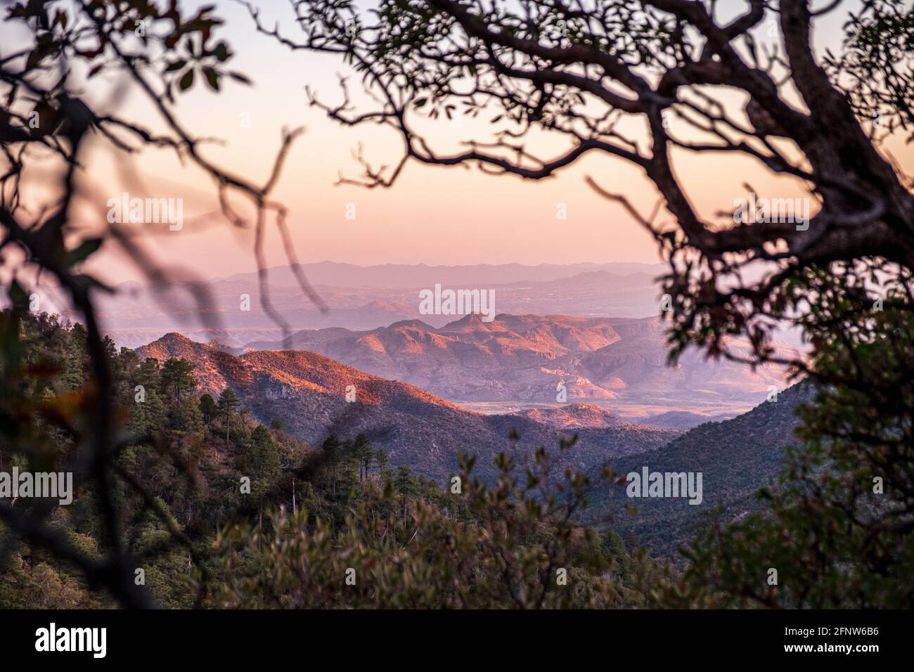 Mount Wrightson, Arizona, USA Stock Photo - Alamy
