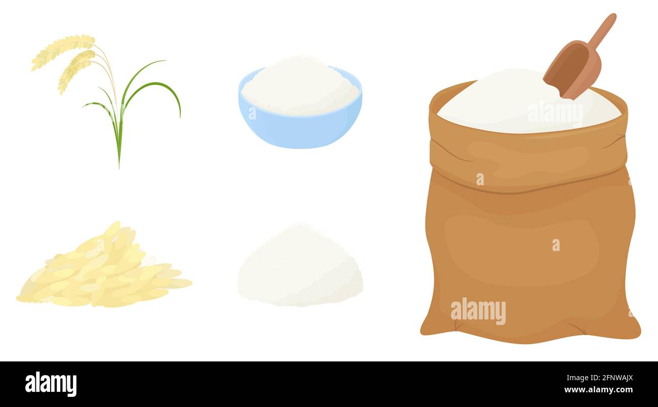 Wheat Flour Vector