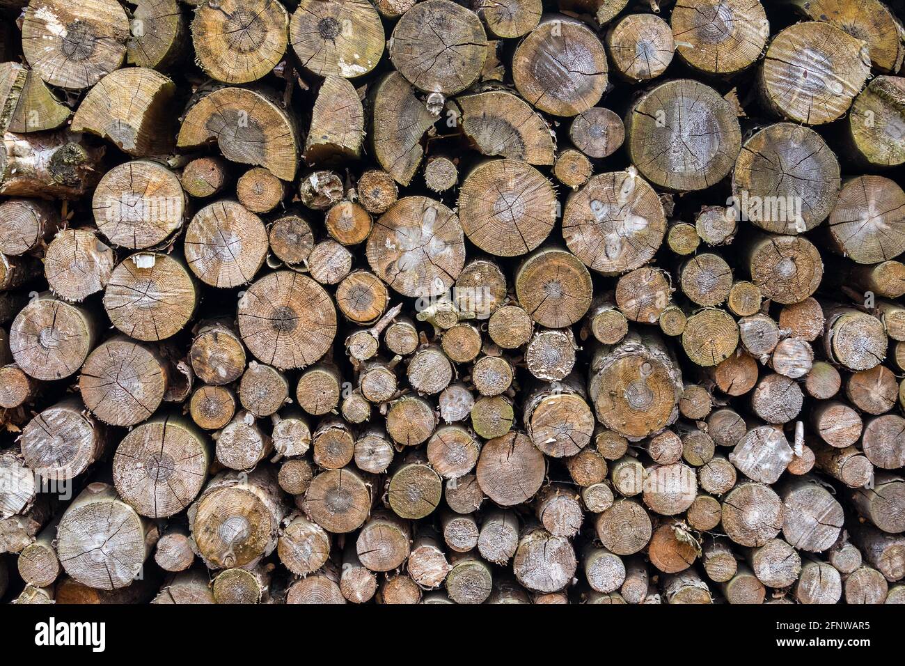 stacked firewood - texture background of wood logs Stock Photo - Alamy