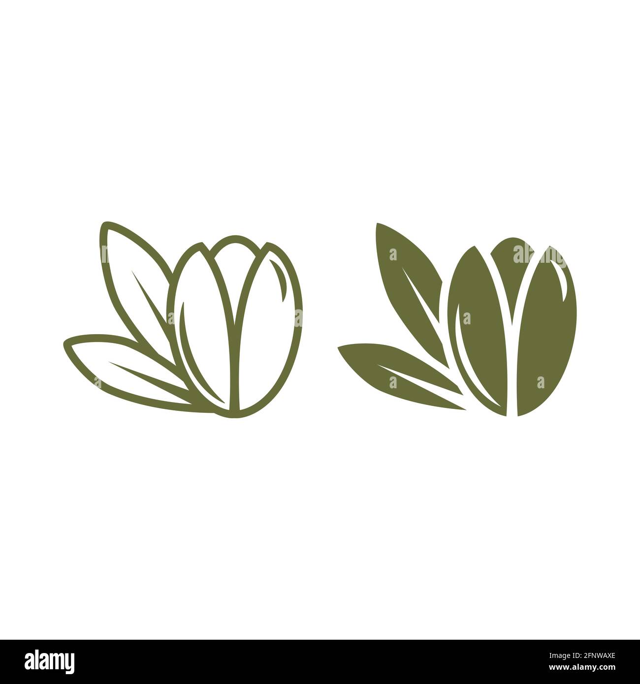 Argan oil vector vectors hi-res stock photography and images - Alamy