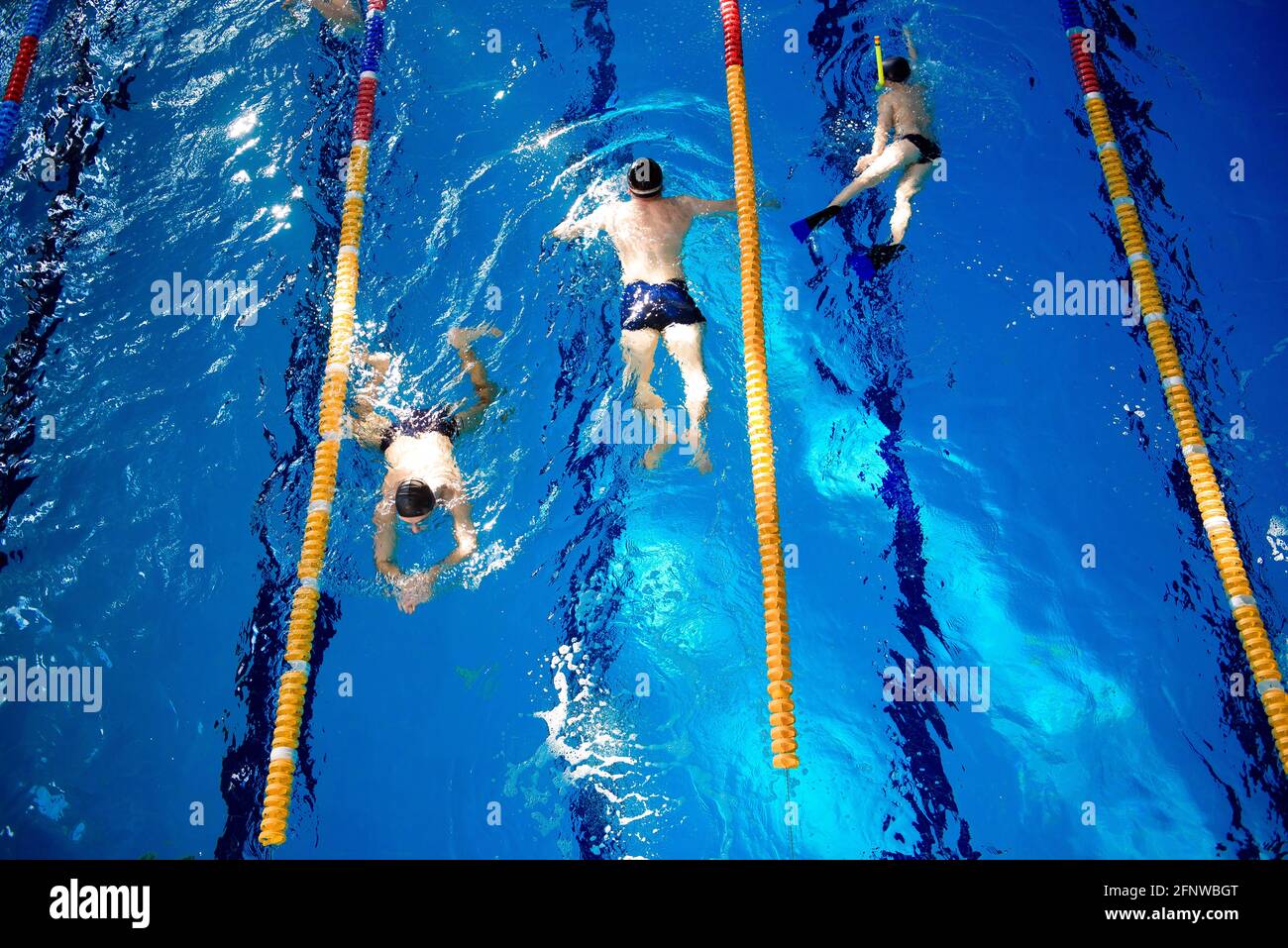 Swimming pool, athletes train in sport swimming Stock Photo - Alamy
