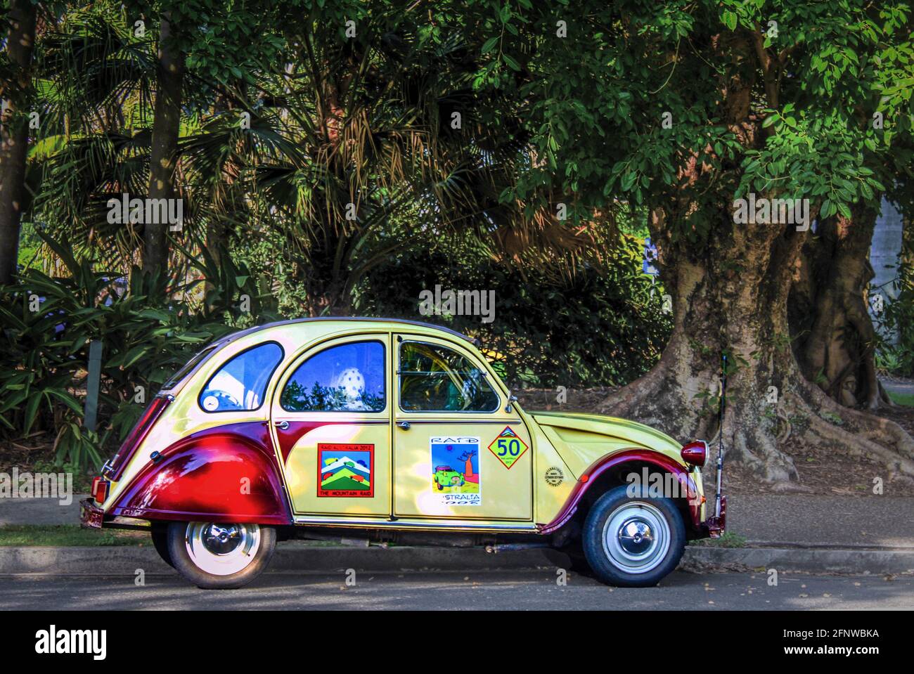 Car decals hi-res stock photography and images - Alamy