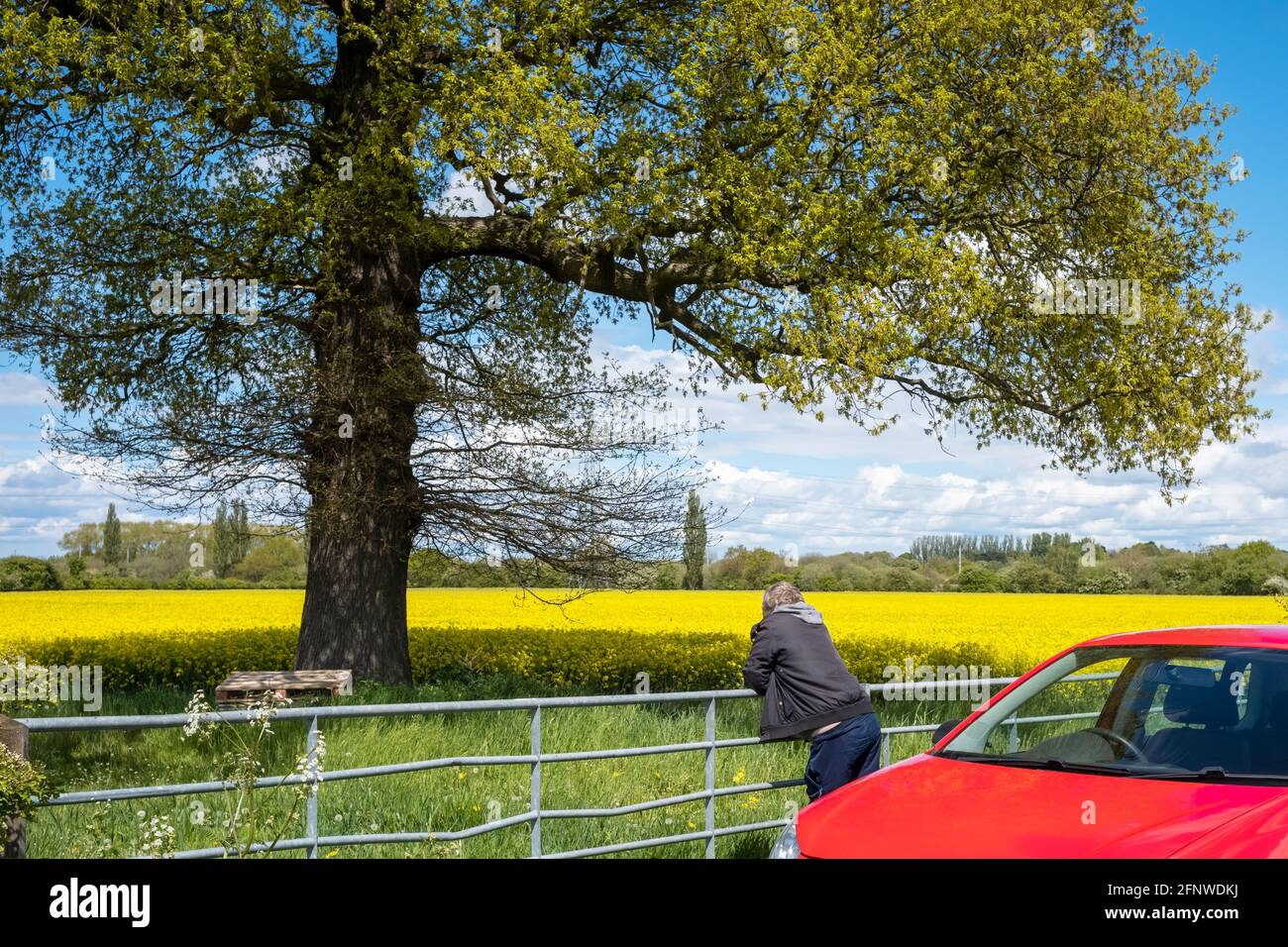 Stand And Stare High Resolution Stock Photography and Images - Alamy