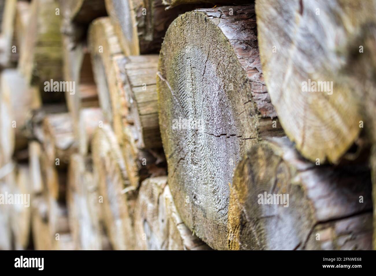 Firewood stacked background hi-res stock photography and images - Alamy