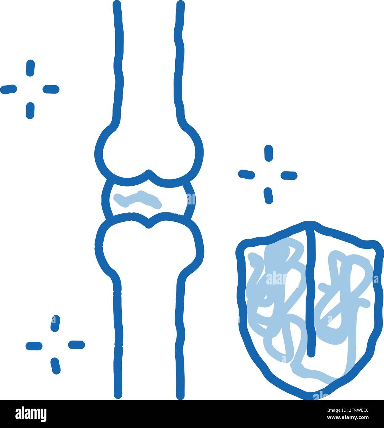 bone strengthening doodle icon hand drawn illustration Stock Vector ...