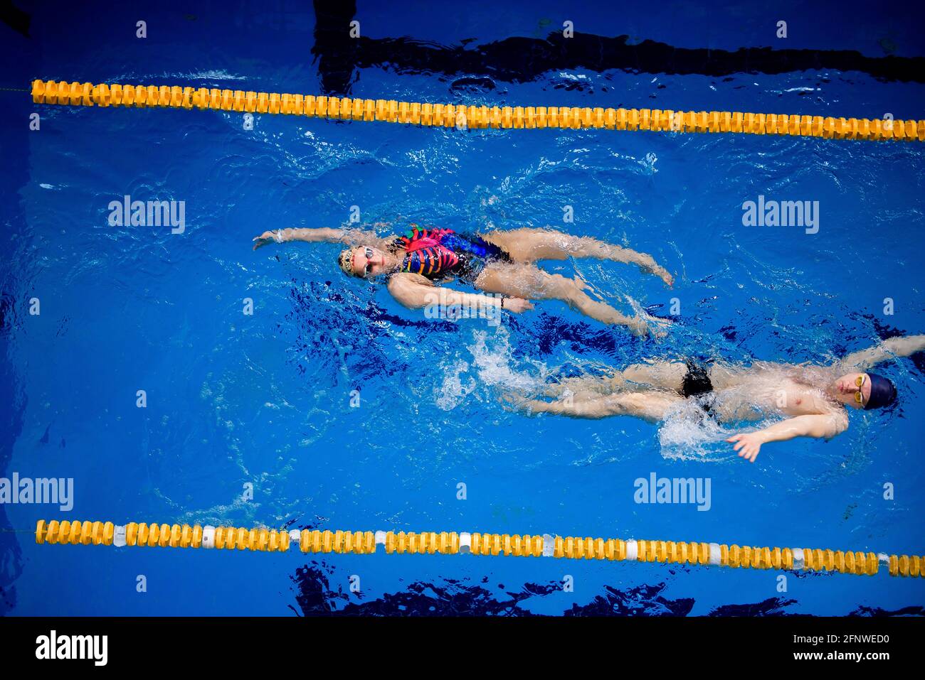 Training of professional swimmers. Athletes swim on their backs in the ...
