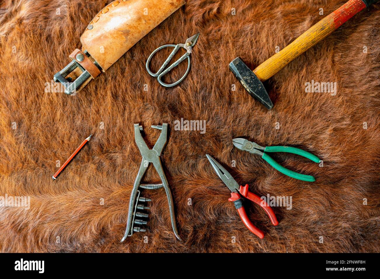 Top view work tools for leather and craftsmanship on hairy cow skin ...