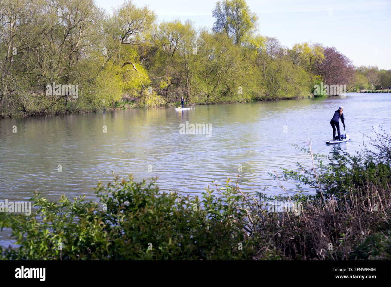 Woman paddle boarding uk hi-res stock photography and images - Alamy