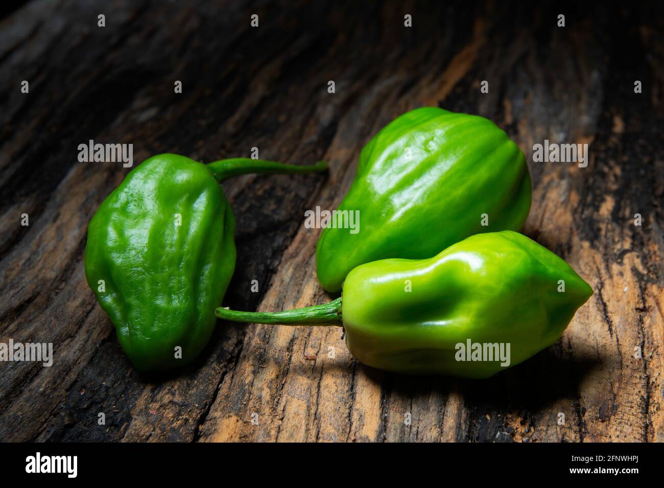 Cheiro High Resolution Stock Photography and Images - Alamy