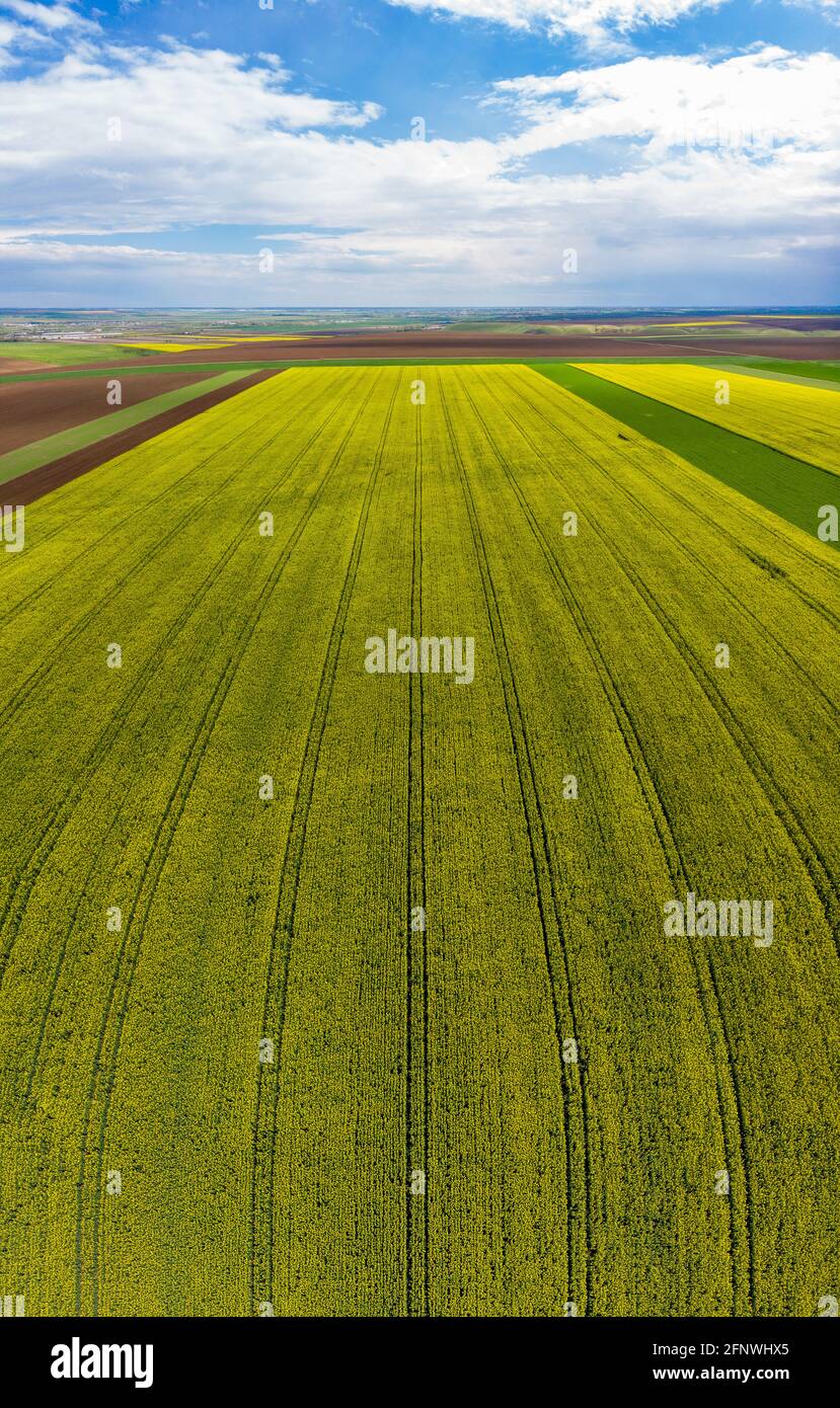 Beautiful vertical hi-res stock photography and images - Alamy