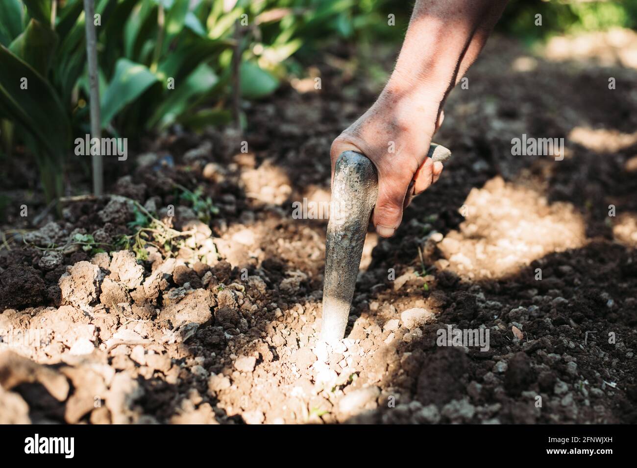Hand hole hi-res stock photography and images - Alamy
