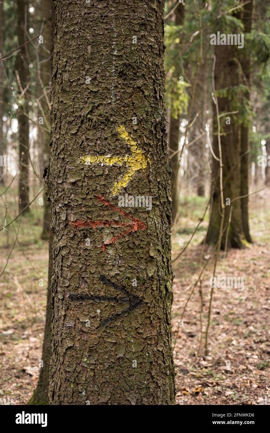 An arrow drawn with paint on a tree points to the right Stock Photo - Alamy