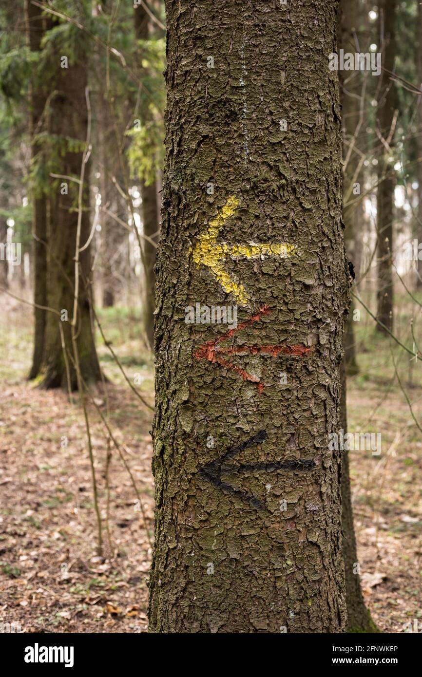 An arrow to the left drawn on a tree. Orientation Stock Photo - Alamy