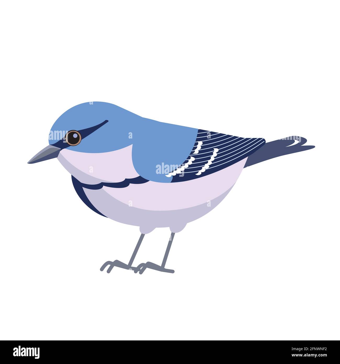 Cerulean warbler is a small songbird of the New World warbler family ...