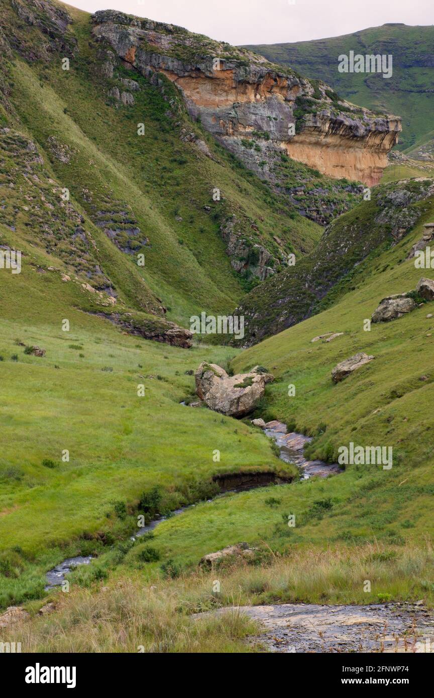 River ravine below Langtoon Dam Stock Photo - Alamy