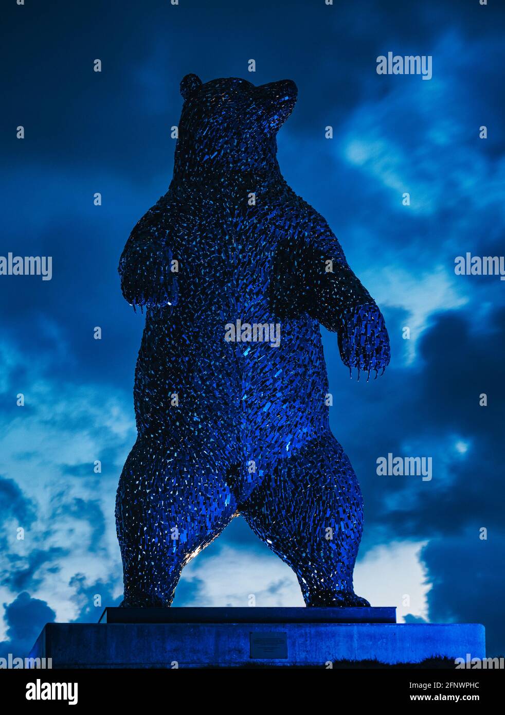 Dunbear hi-res stock photography and images - Alamy