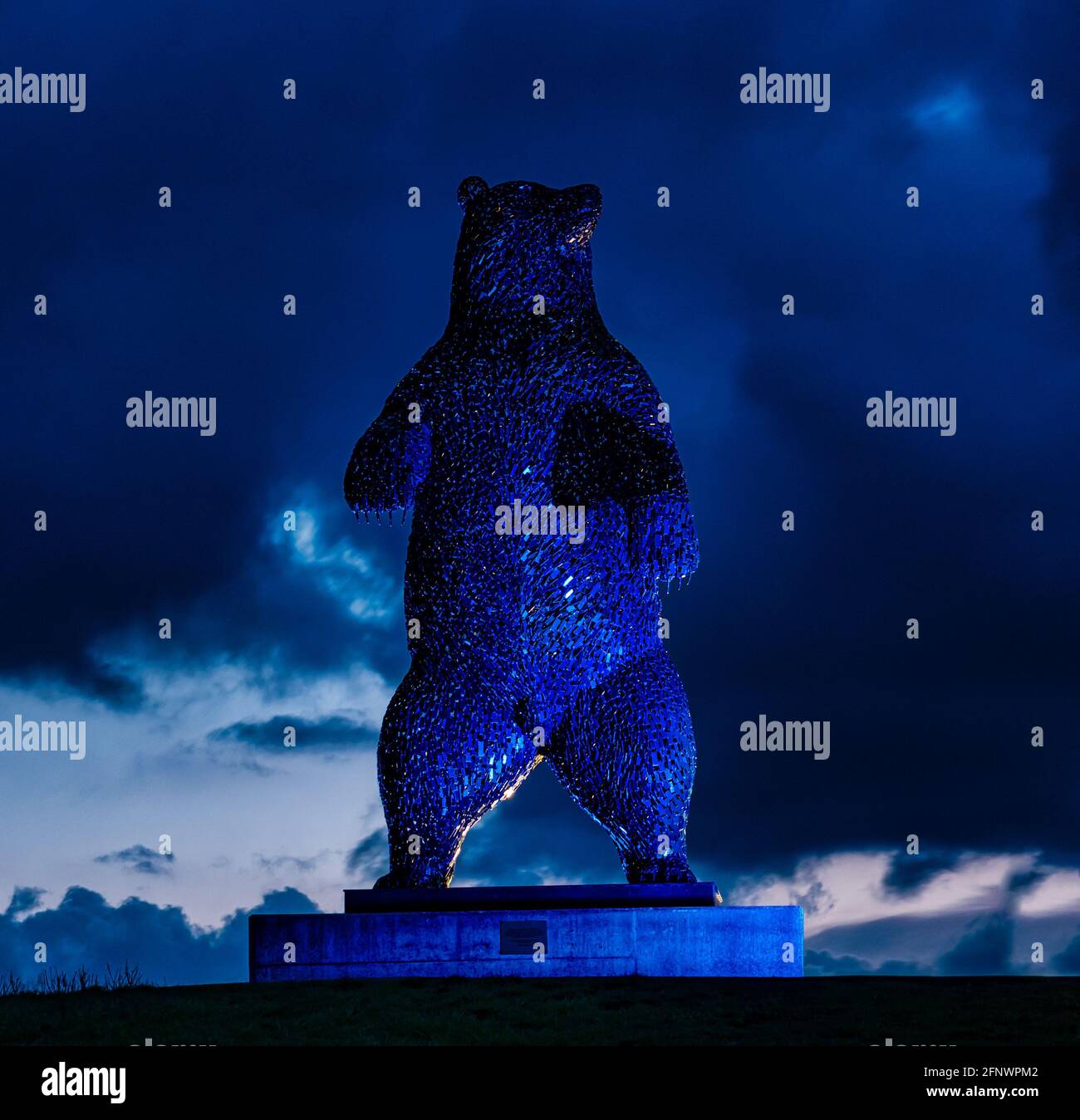 Giant steel bear sculpture, Dunbear by sculptor Andy Scott, lit up at ...