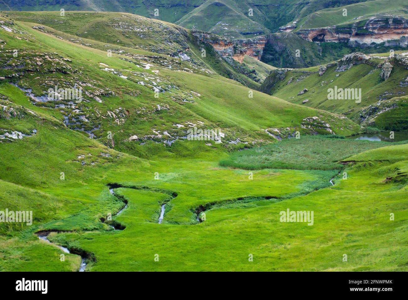 Long, winding stream Stock Photo - Alamy