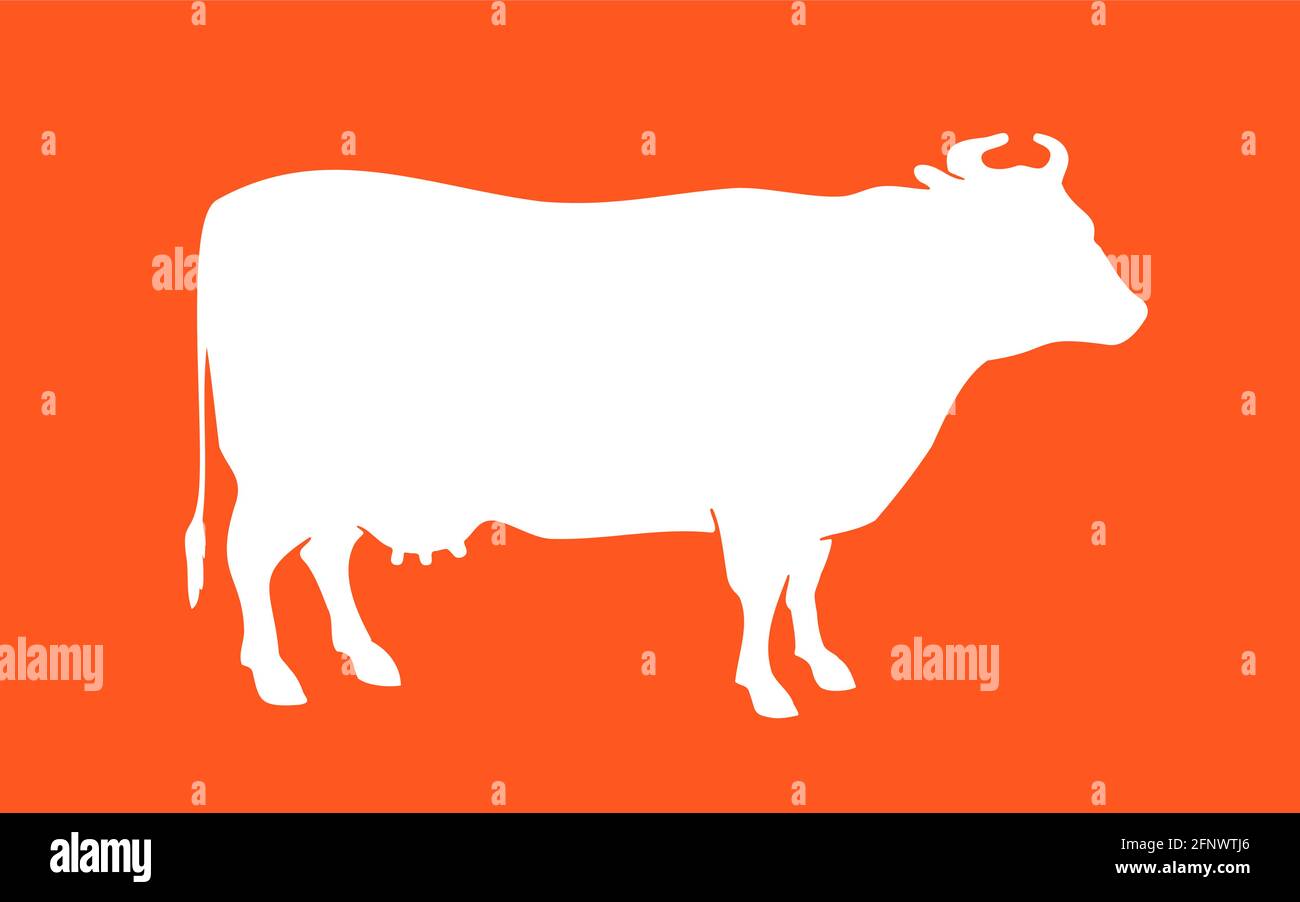 Show Heifer Silhouette