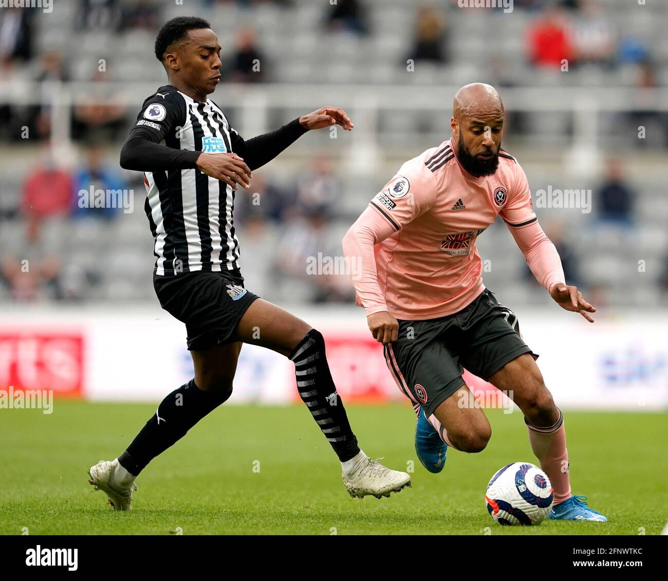 David willock hi-res stock photography and images - Alamy