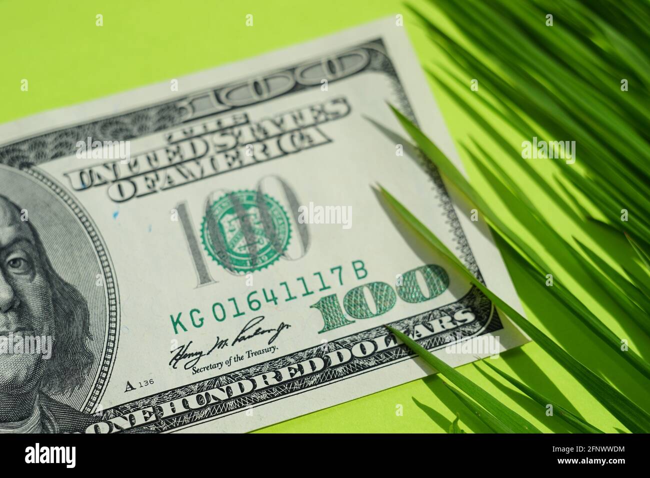 Hundred dollar bill and green grass on a vivid green table Stock Photo ...