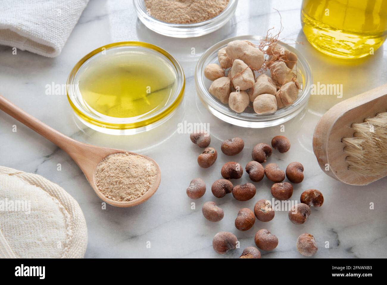 Baobab fruit, seed, powder and oil Stock Photo - Alamy