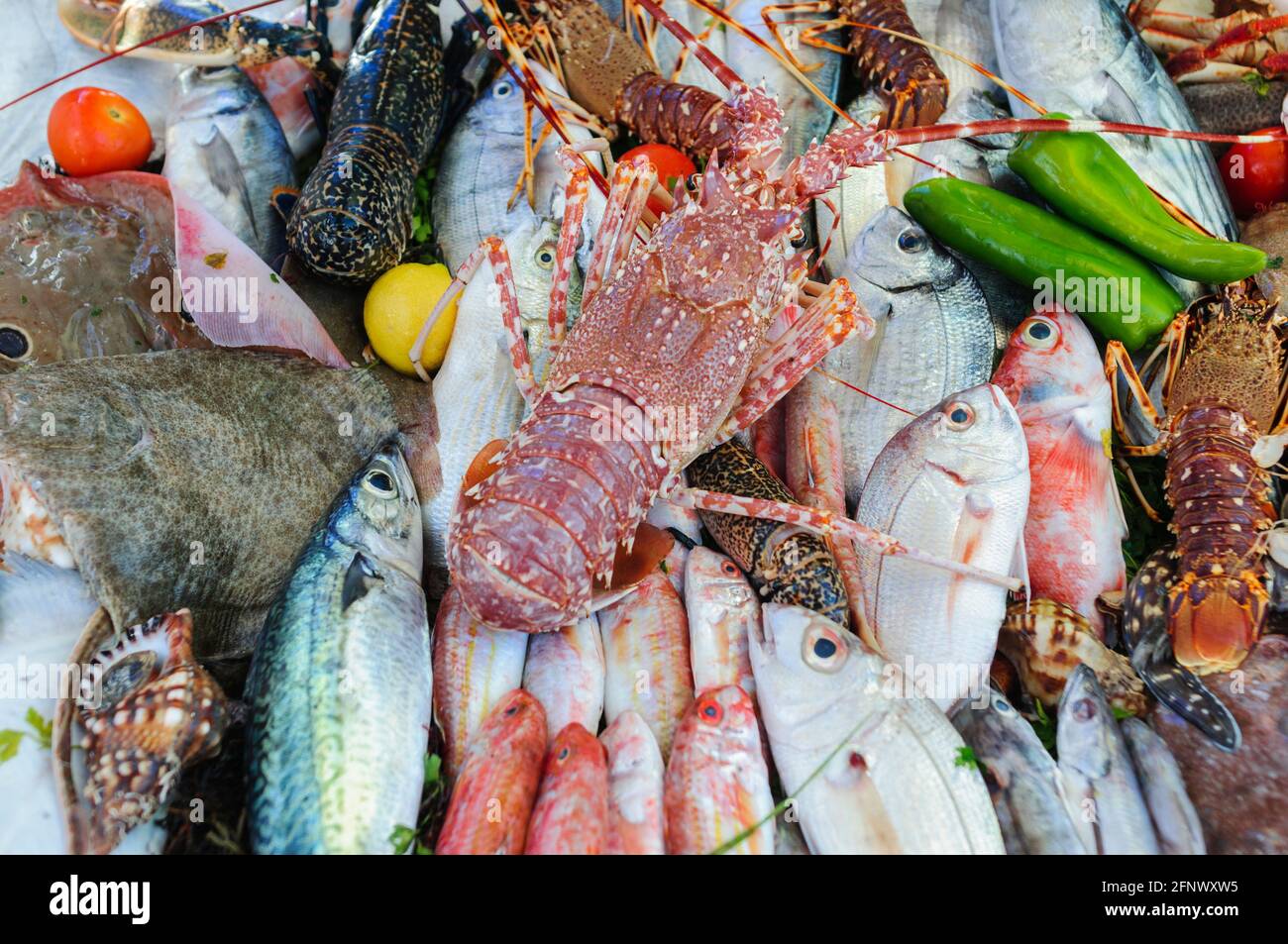 Market stall with fresh fish and seafood Stock Photo - Alamy