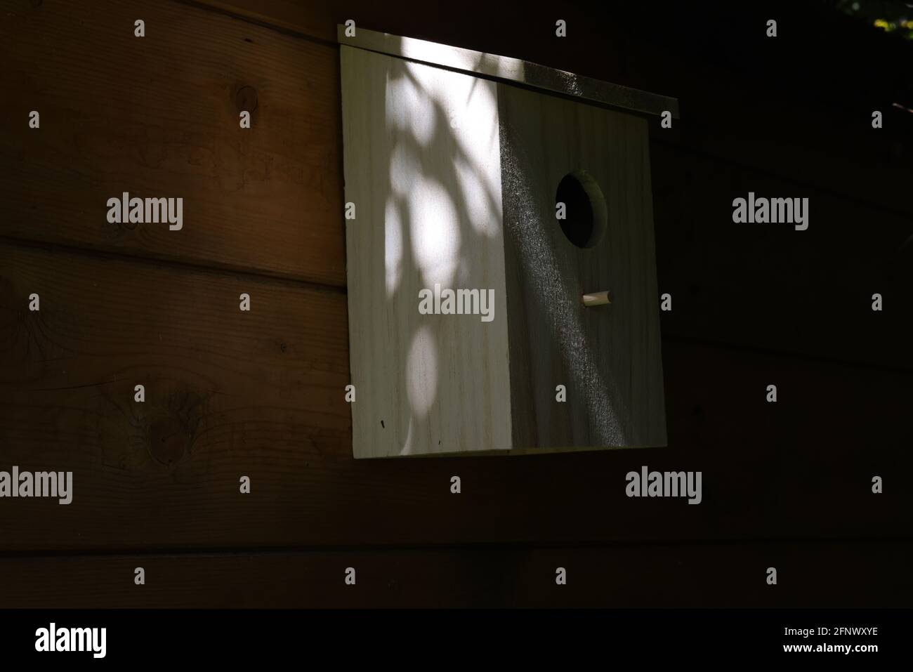 Bird box, UK Stock Photo - Alamy