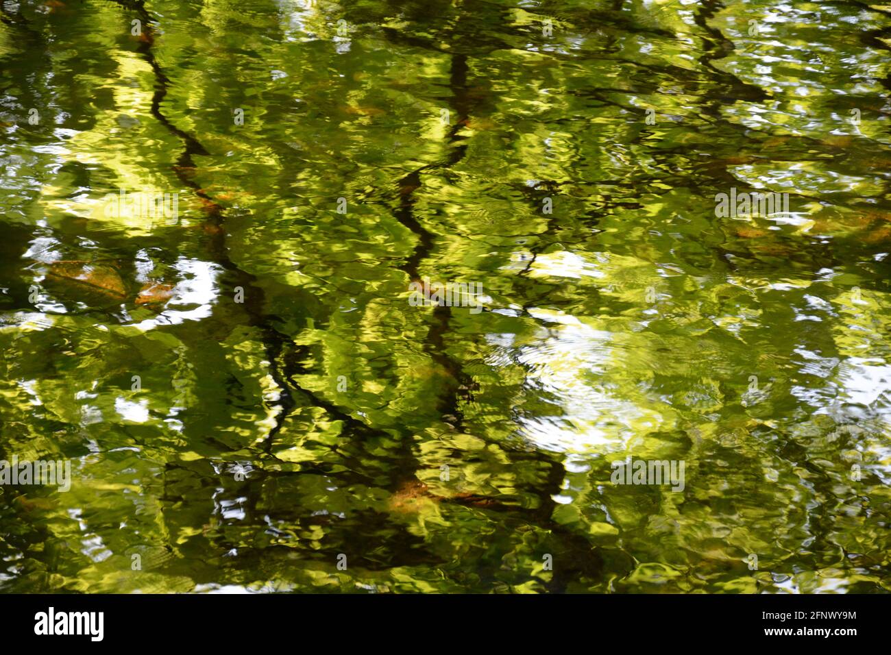 Abstract water reflection Stock Photo - Alamy