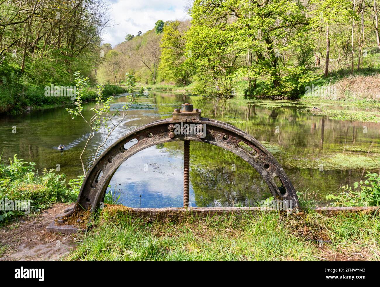 Old sluice gate on the trout pools of the River Bradford at Bradford ...