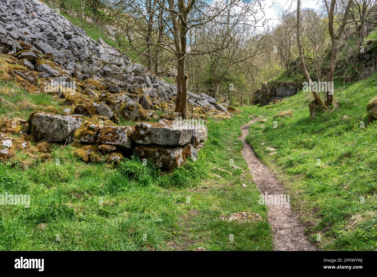 Upper reaches of Lathkill Dale in the Derbyshire Peak District UK with ...