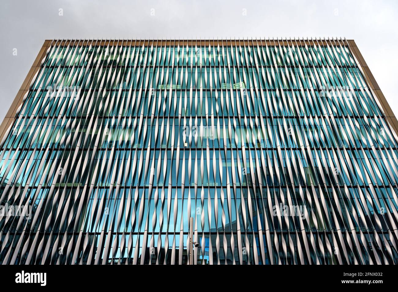 London, UK: The Monument Building located next to the monument memorial ...