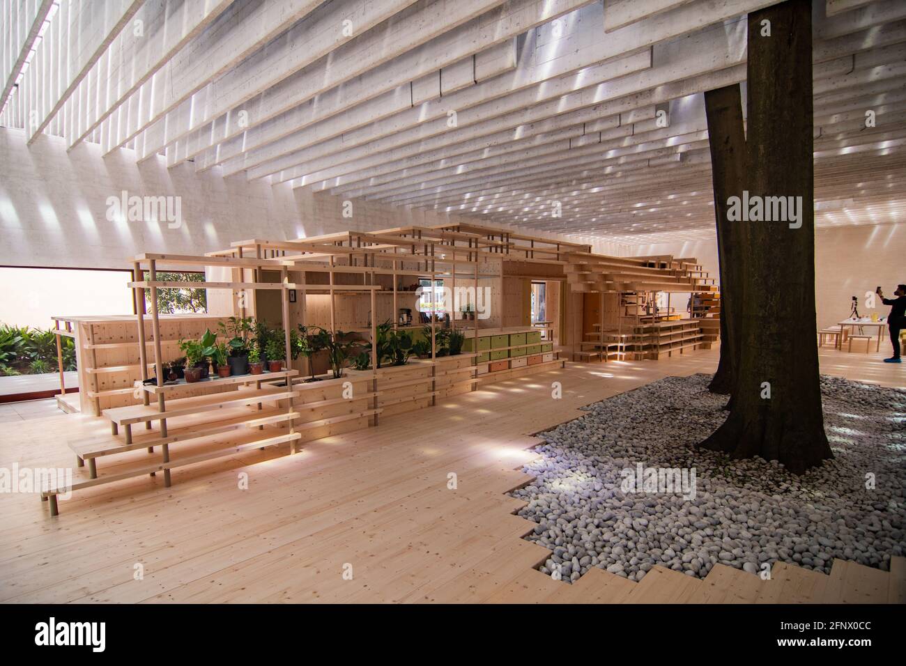 Grazina frame hi-res stock photography and images - Alamy