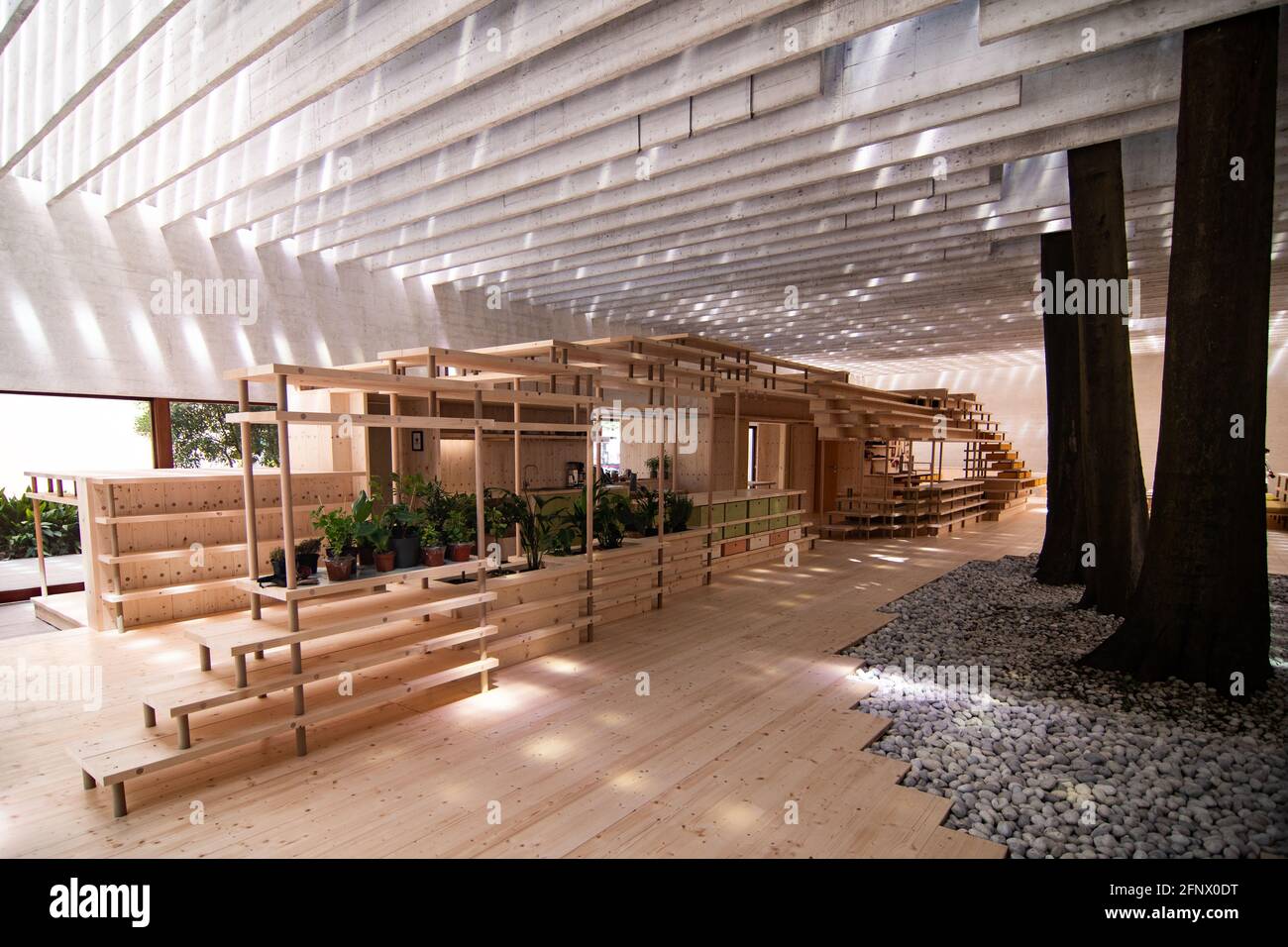 Grazina frame hi-res stock photography and images - Alamy