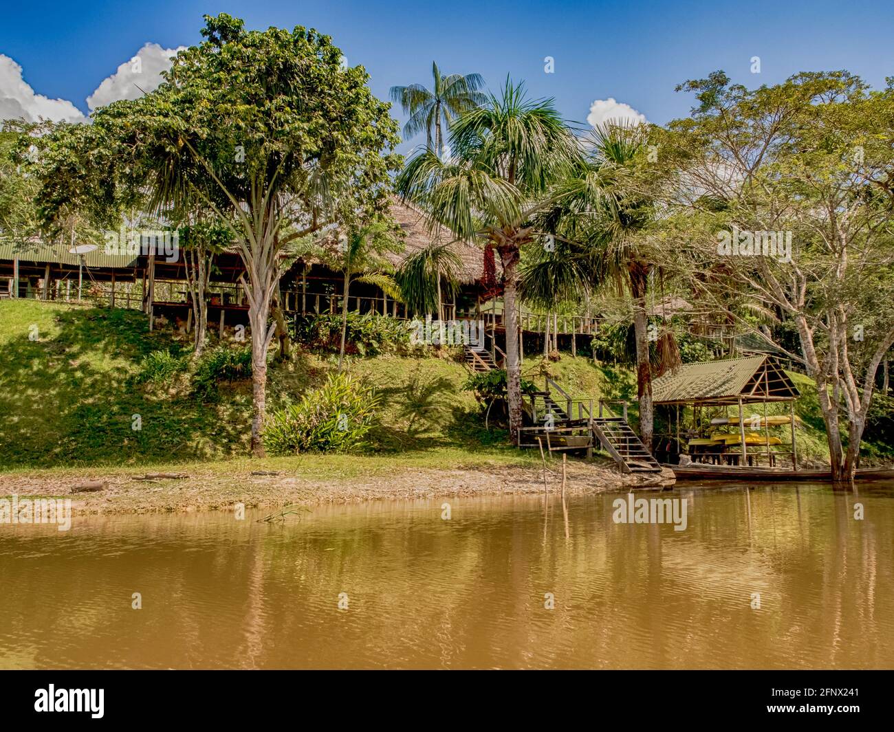 Brazil amazon rainforest amazonia jungle hi-res stock photography and ...