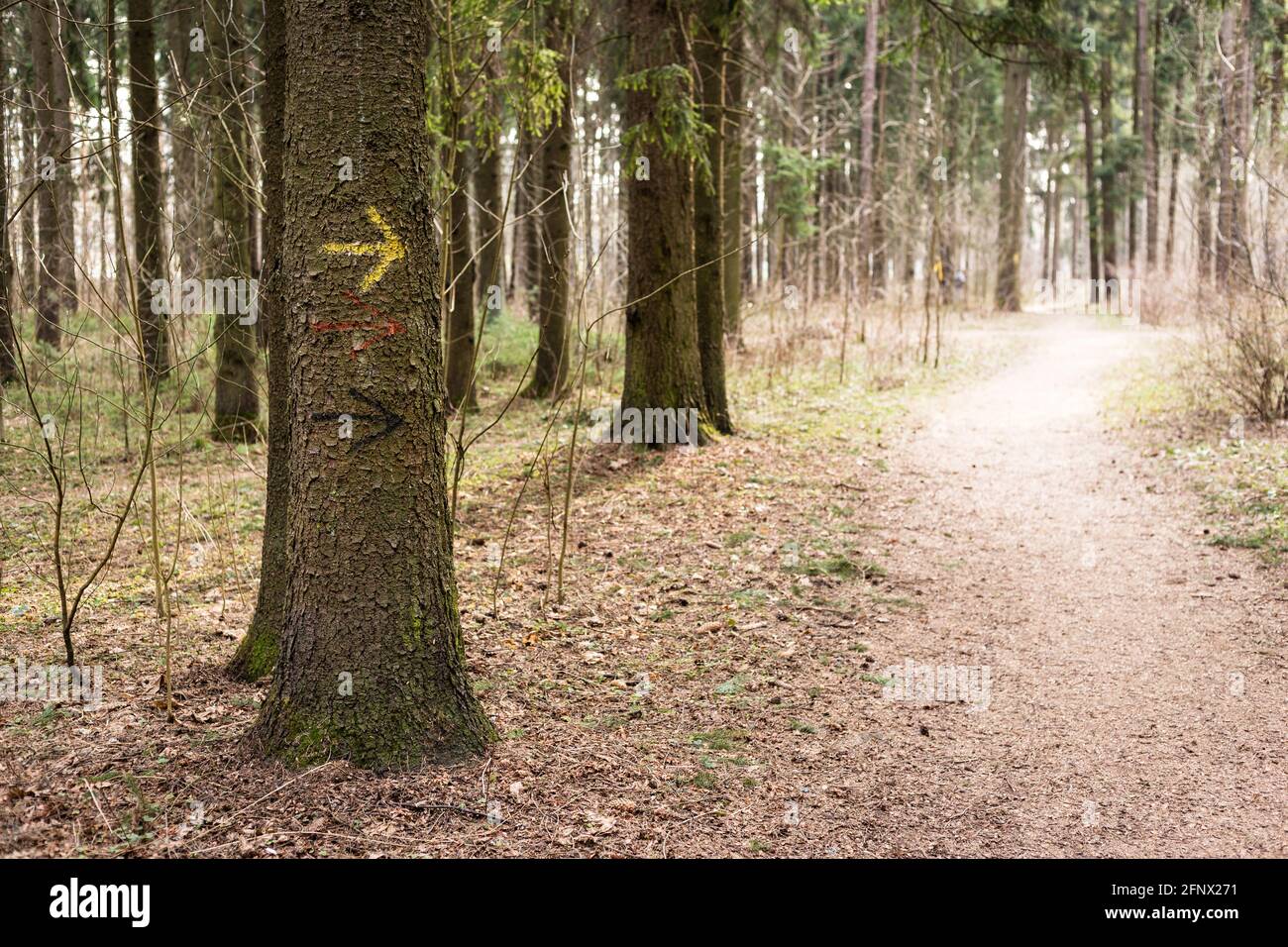 Tree Points High Resolution Stock Photography and Images - Alamy