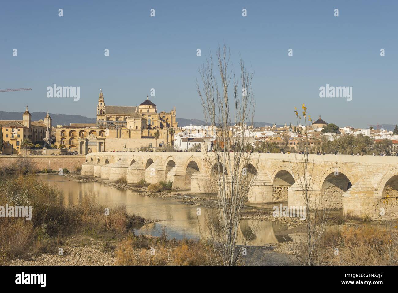 Landscape of The Roman bridge of Cordoba surrounded by buildings in ...