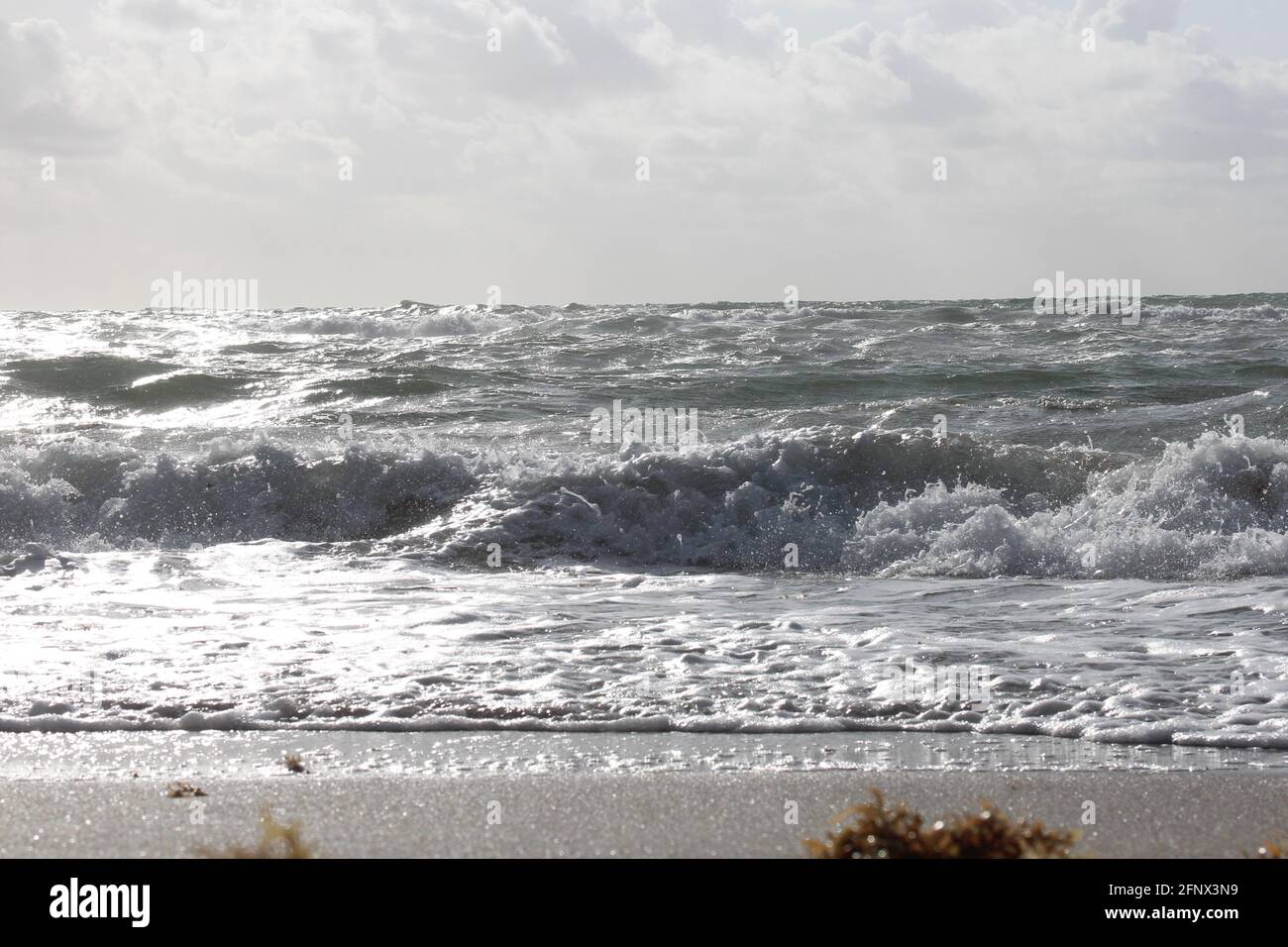 low angle beach waves Stock Photo - Alamy