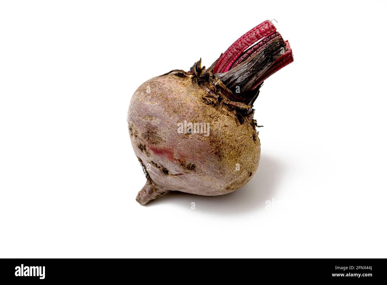 Whole and leafless raw red beet root on a white surface. Healthy ...