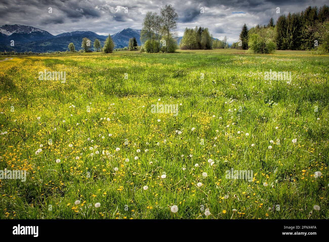 Bavaria spring hi-res stock photography and images - Alamy