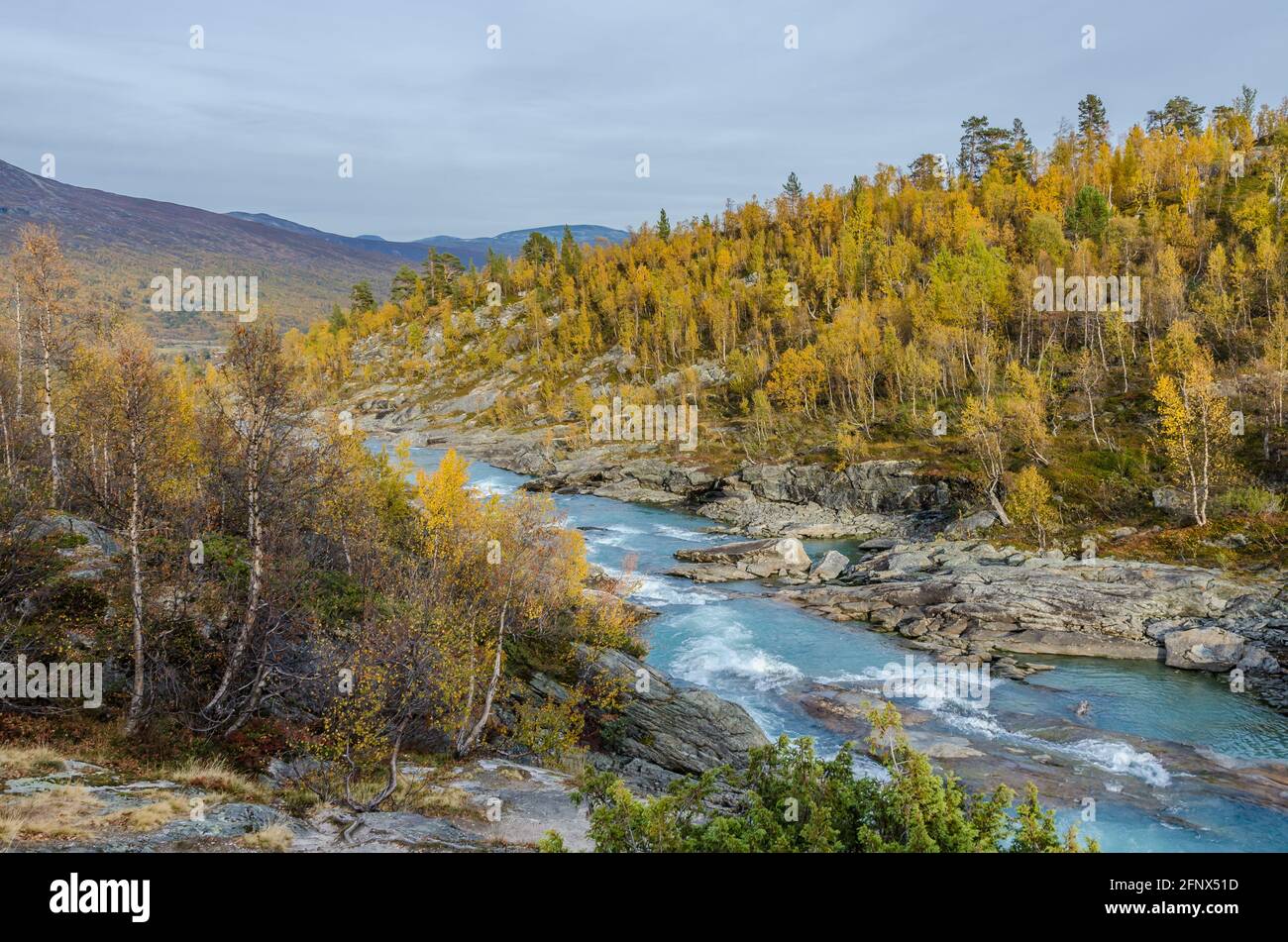 View of the mountain river. Norway Stock Photo - Alamy