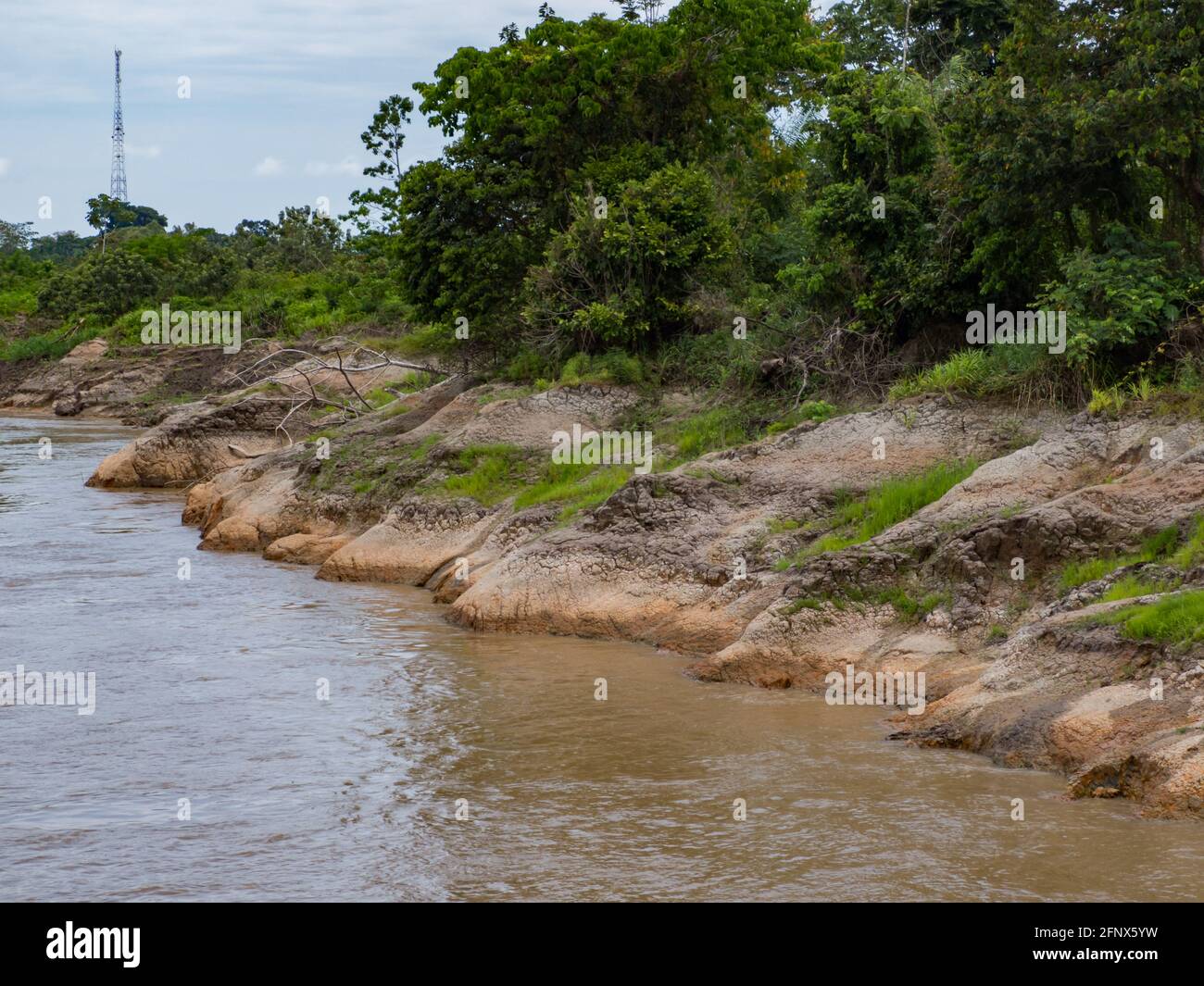 View of the green, jungle on the banks of the Amazon river during low ...