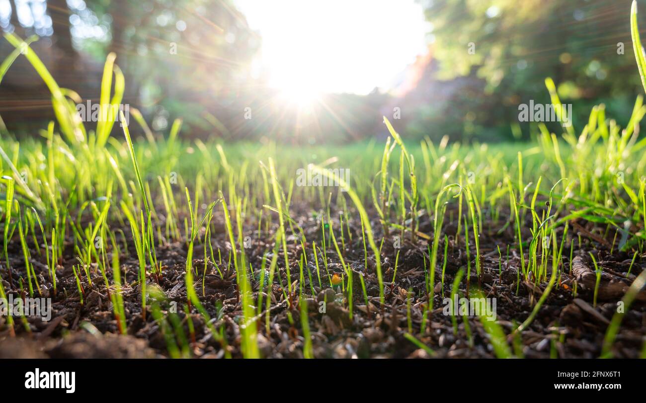 Soil and soil sunrise hi-res stock photography and images - Alamy