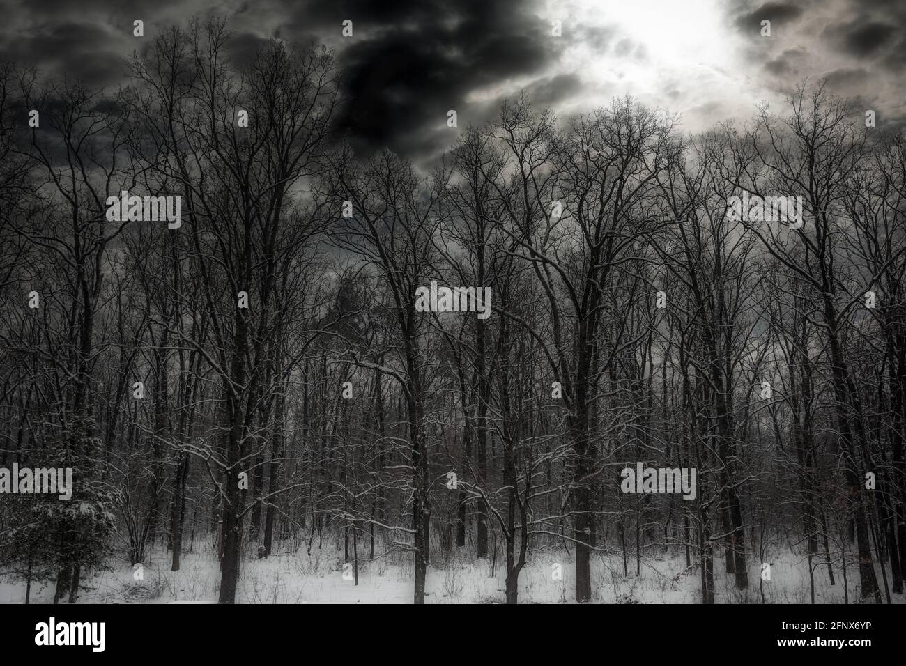 Gloomy landscape hi-res stock photography and images - Alamy